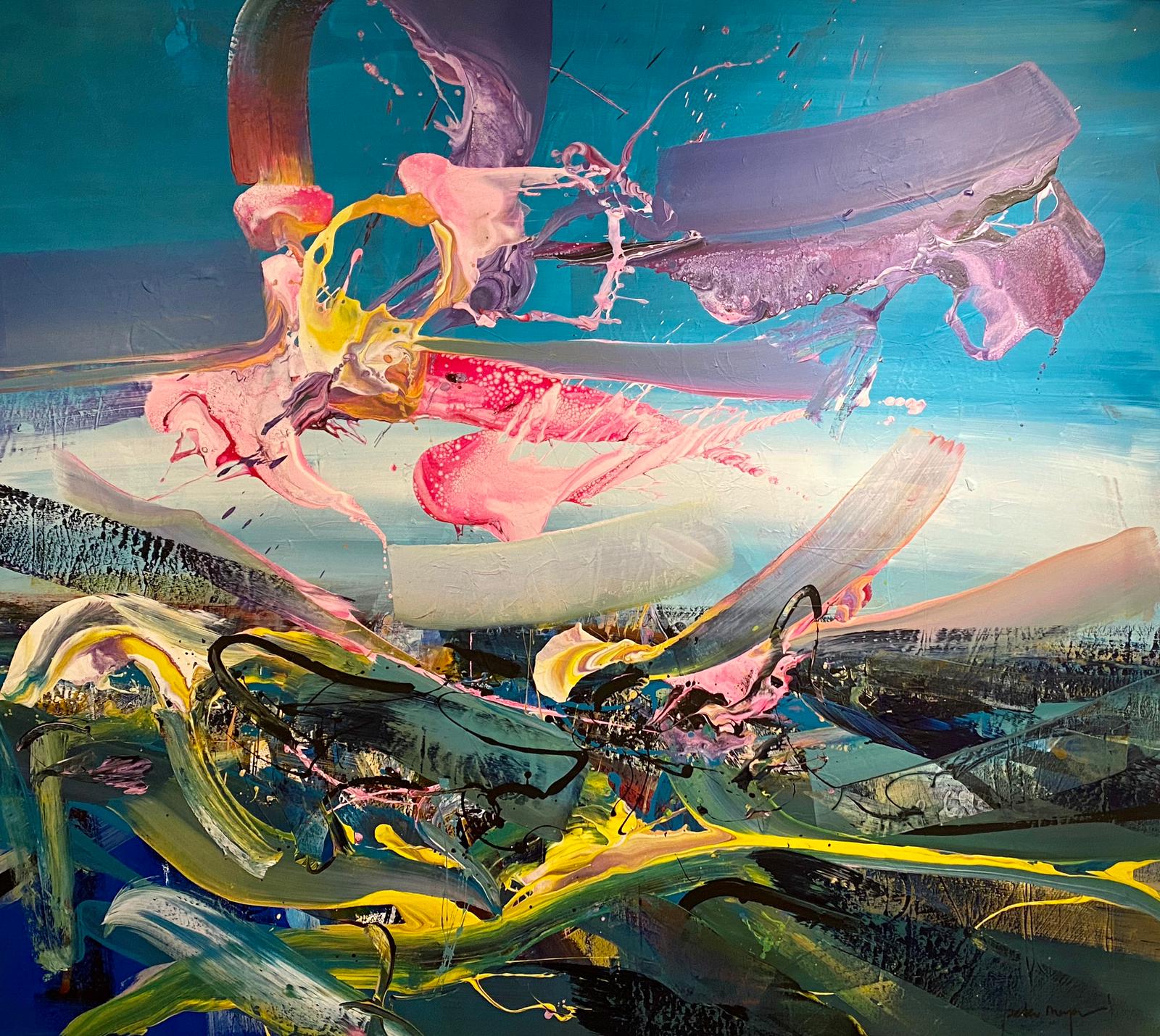 Expositie Peter Meijer | Kunstverkoop Groningen | Ann's Art
